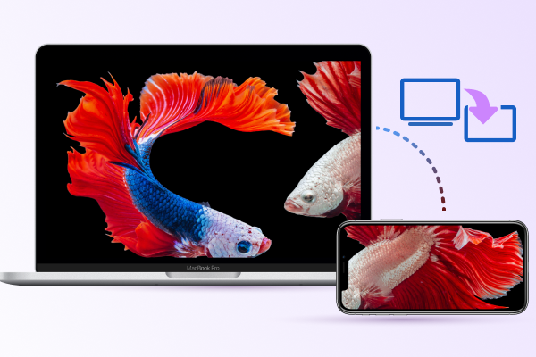 Screen Mirroring Receiver for iPhone, iPad & Android | 1001 TVs