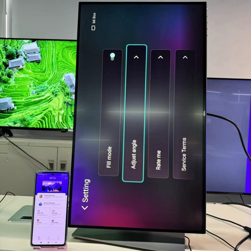 1001 TVs--Espejo de pantalla vertical: Cree una nueva experiencia visual